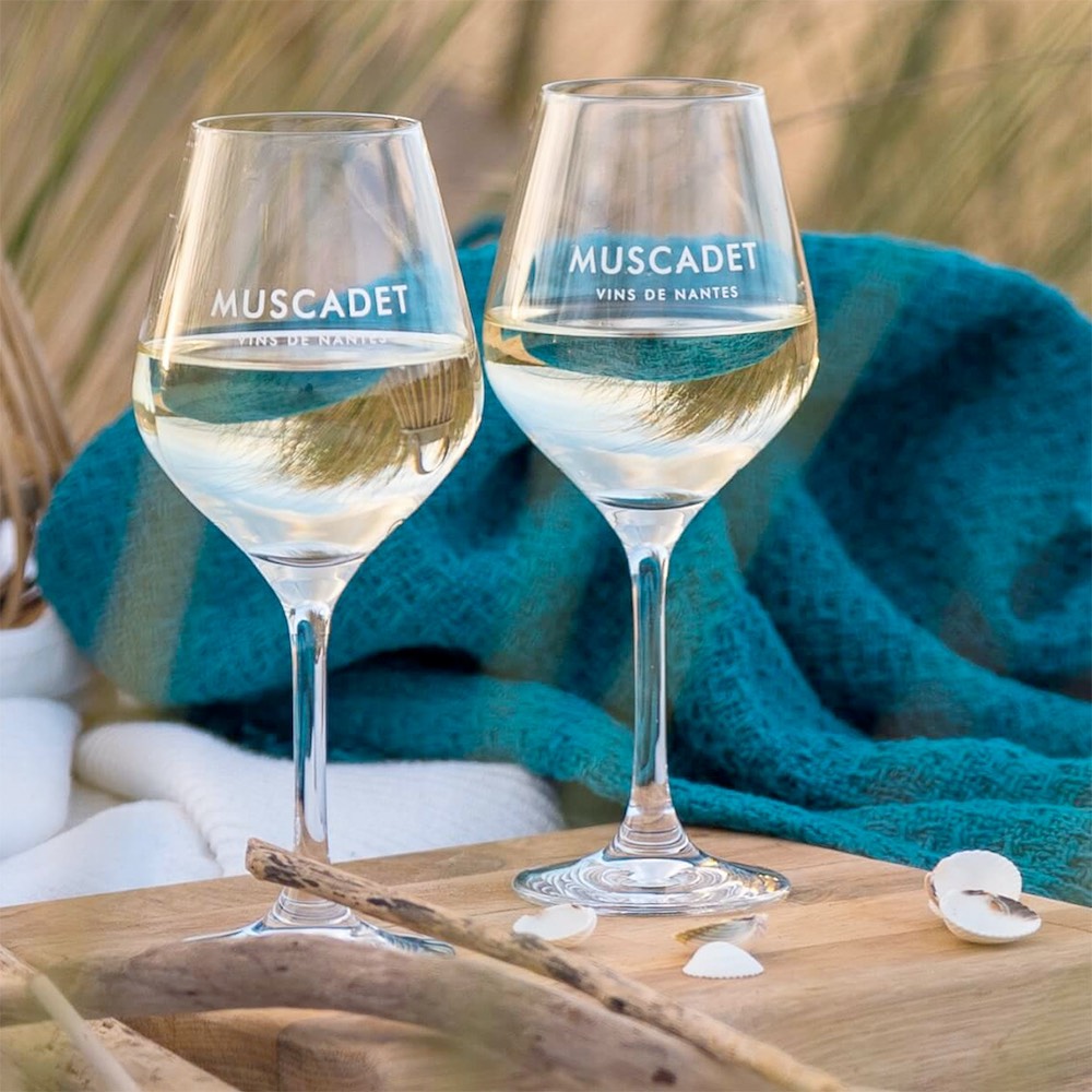 Le muscadet rappelé à l’ordre sur l’usage de la mention « cru